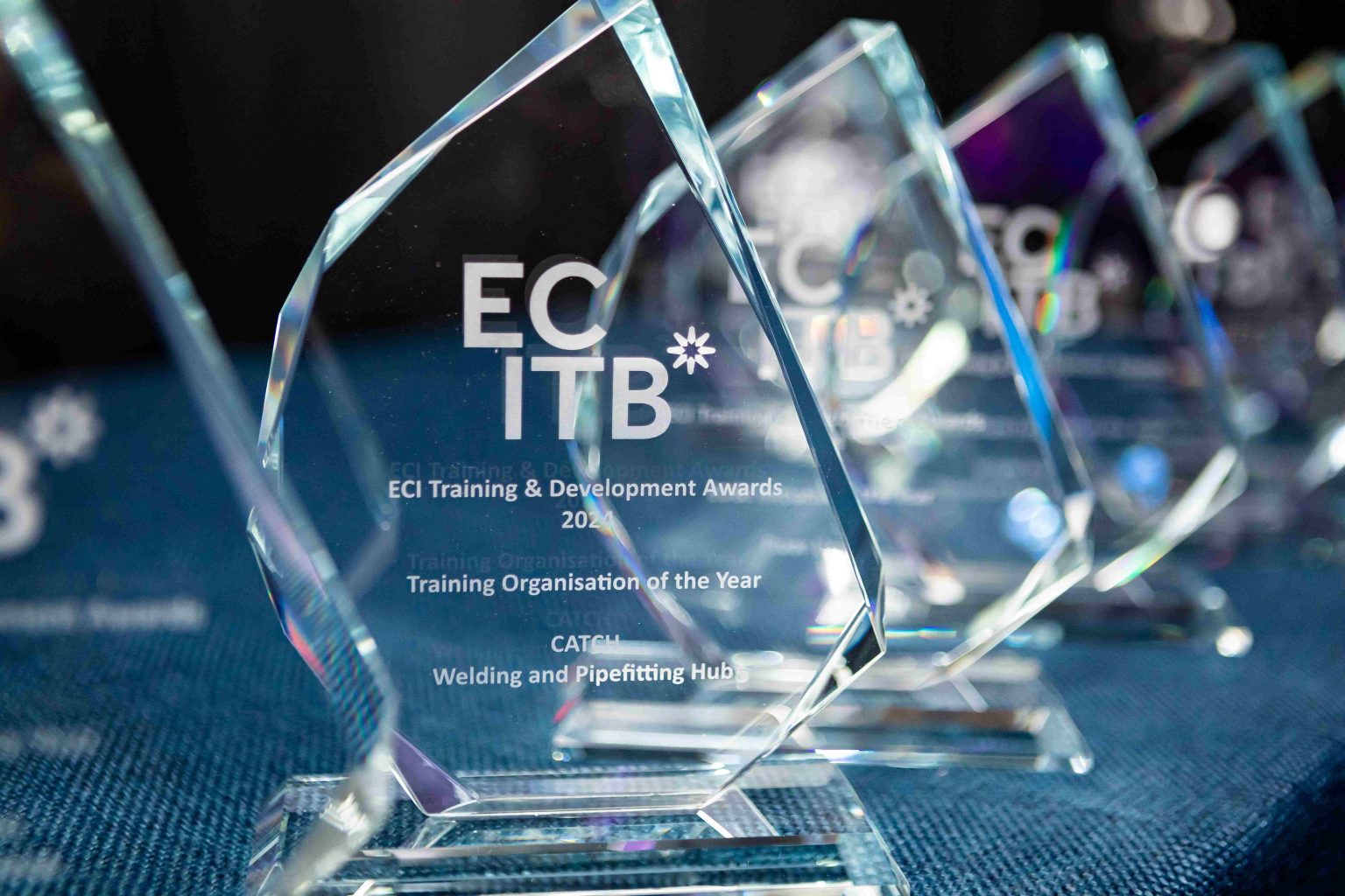 26 finalists unveiled for the ECI Training and Development Awards 2025 ...