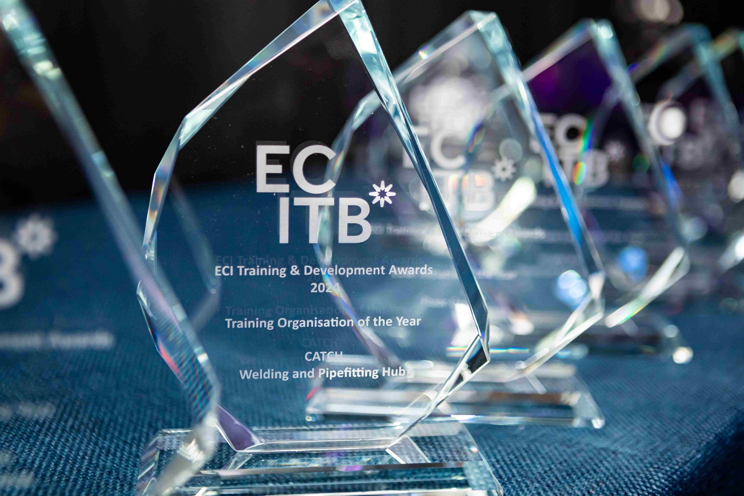 26 finalists unveiled for the ECI Training and Development Awards 2025 ...